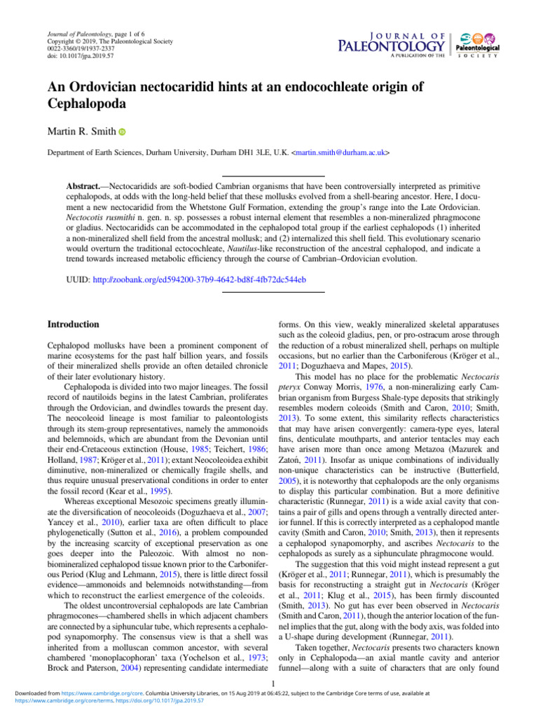 chapelo | PDF