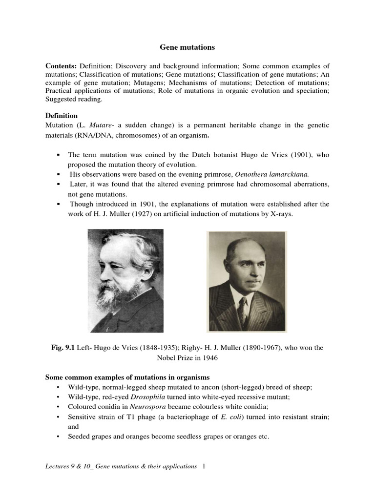 Lectures 9 & 10_Gene Mutations and Their Applications | PDF | Mutation ...