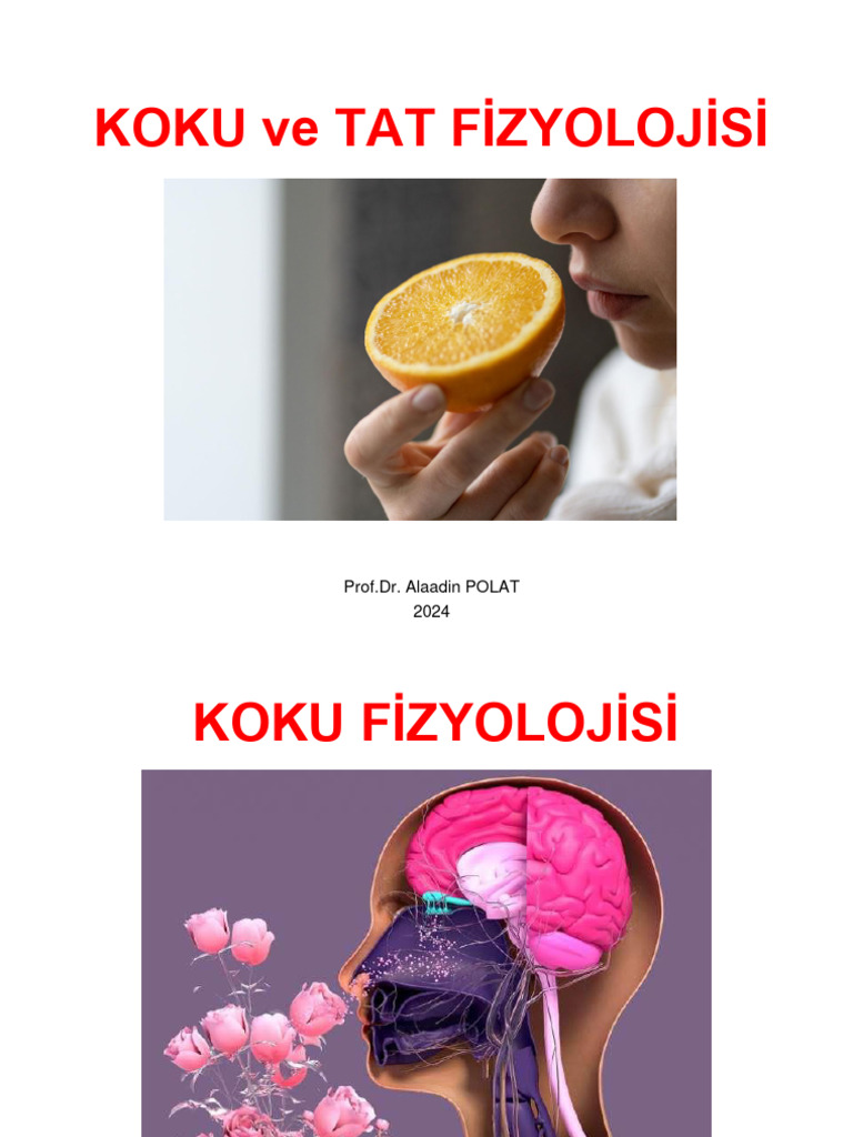 20 Koku Ve Tat | PDF