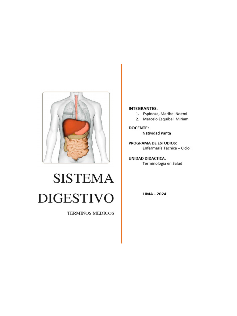 Sistema Digestivo | PDF | Digestión | Sistema digestivo humano