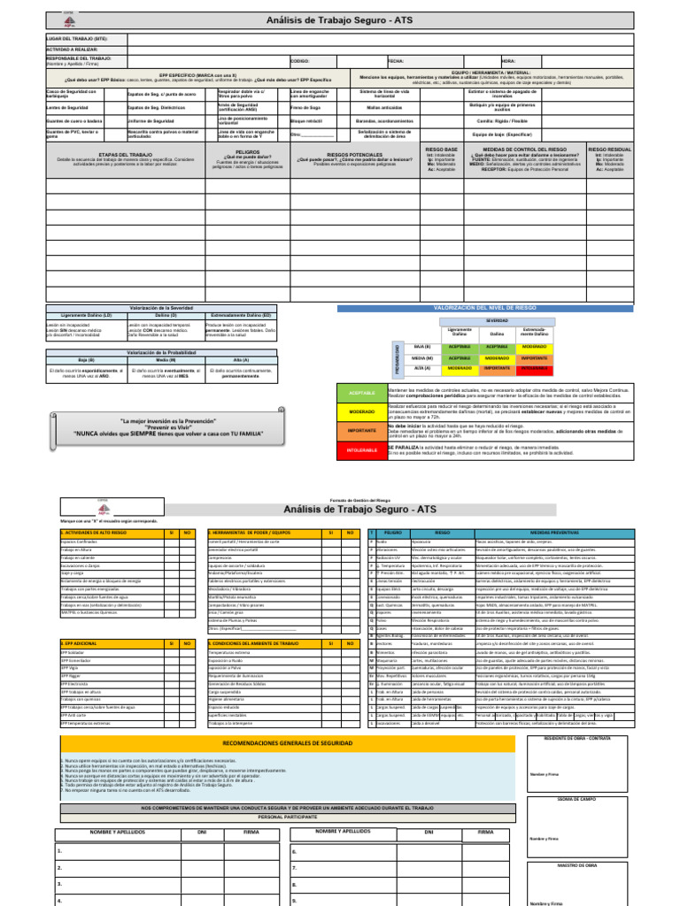 Formato de ATS | PDF | Factores humanos y ergonomía | Riesgo