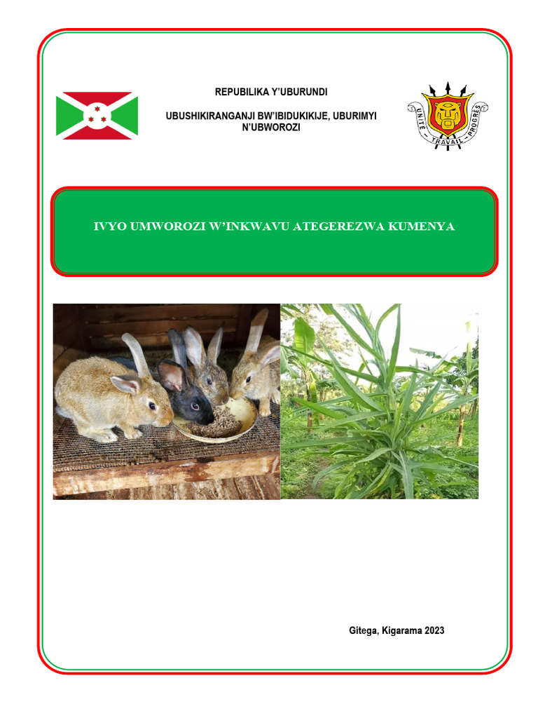 Agatabo K'umworozi W'inkwavu, 2023 FINAL | PDF | Staphylococcus ...