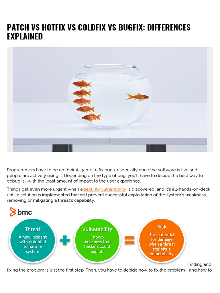 Patch Vs Hotfix Vs Coldfix Vs Bugfix Differences Explained | PDF | Software Bug | Systems ...