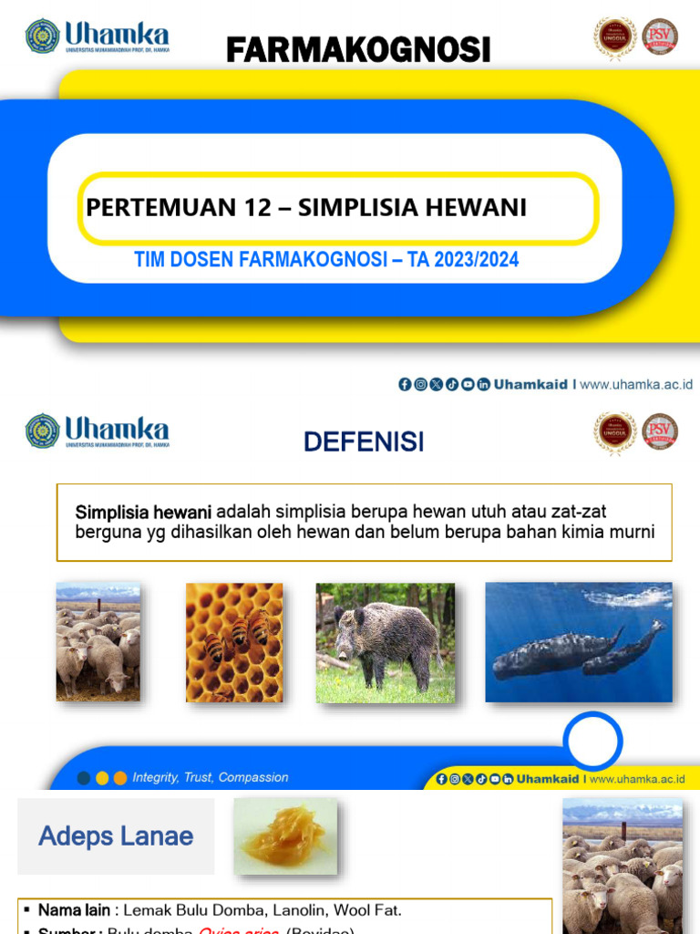 Simplisia Hewani | PDF