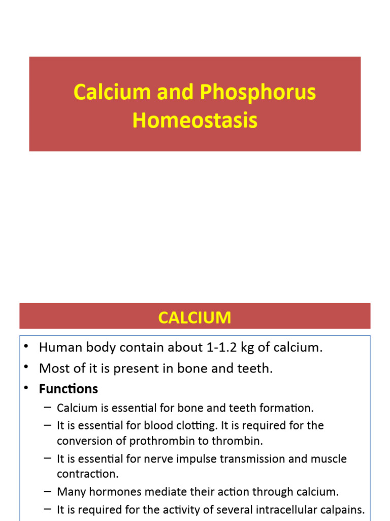 CA Homeostasis | Download Free PDF | Calcium In Biology