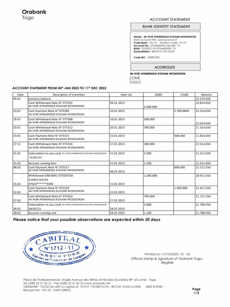 Bank Statement Translate | PDF
