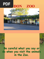 London Zoo Map | PDF