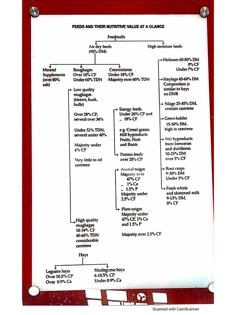 Nutrition Wall Photos | PDF