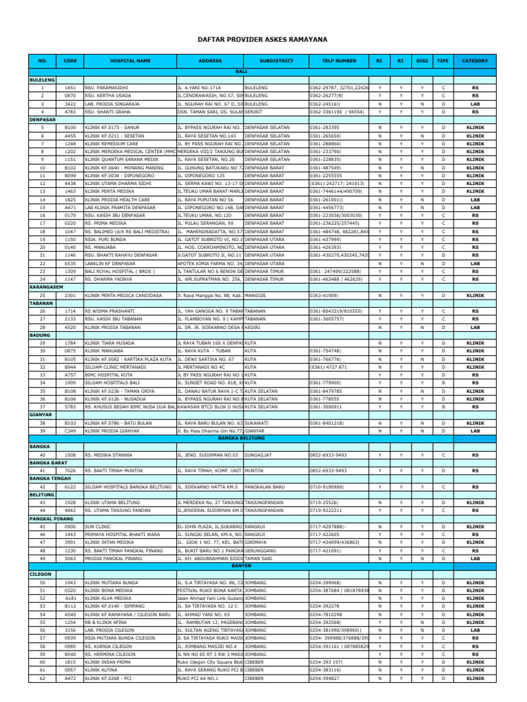 Healthcare Providers List in Indonesia | PDF