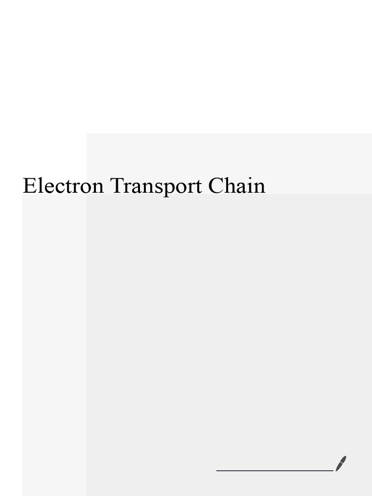 Electron Transport Chain Notes | PDF | Electron Transport Chain ...