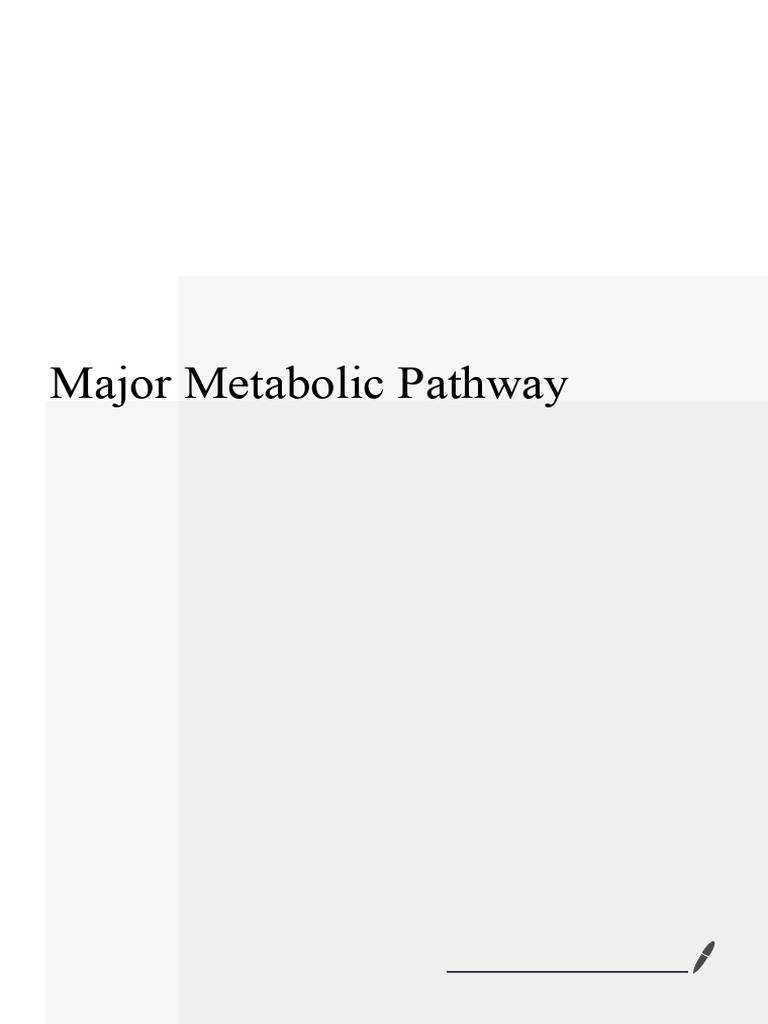 Major Metabolic Pathway Notes | PDF | Diet & Nutrition | Chemistry