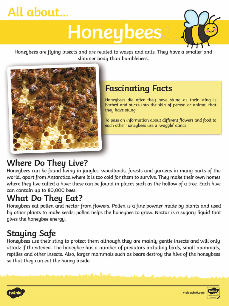 Honeybee Reading | PDF