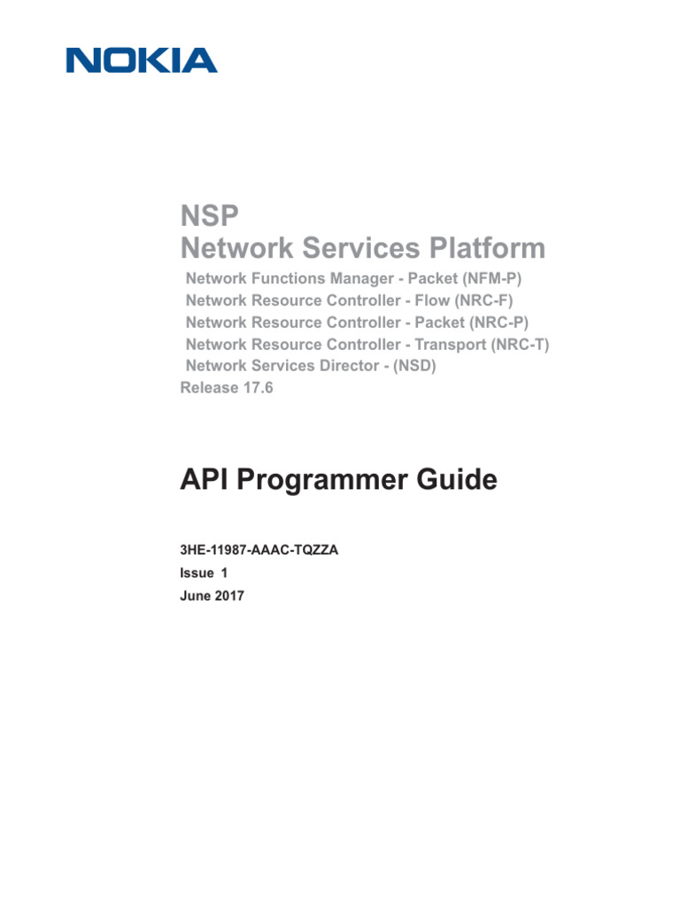 NSP 17.6 API Programmer Guide | PDF | Computer Network | Computer Engineering
