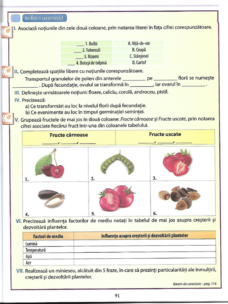 Vii Fisa de Lucru Functia de Reproducere | PDF