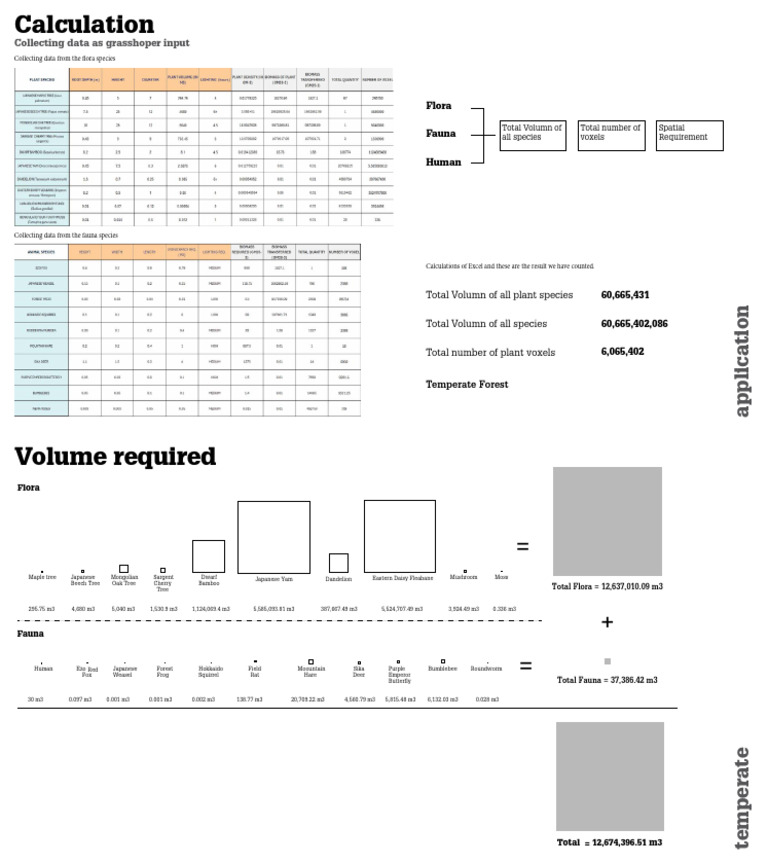 CALCULATION4 | PDF | Trees