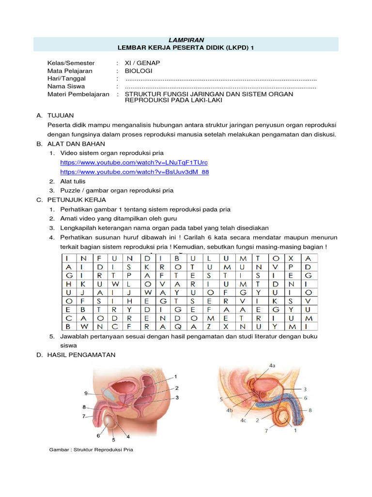 LKPD Sistem Reproduksi Manusia | PDF