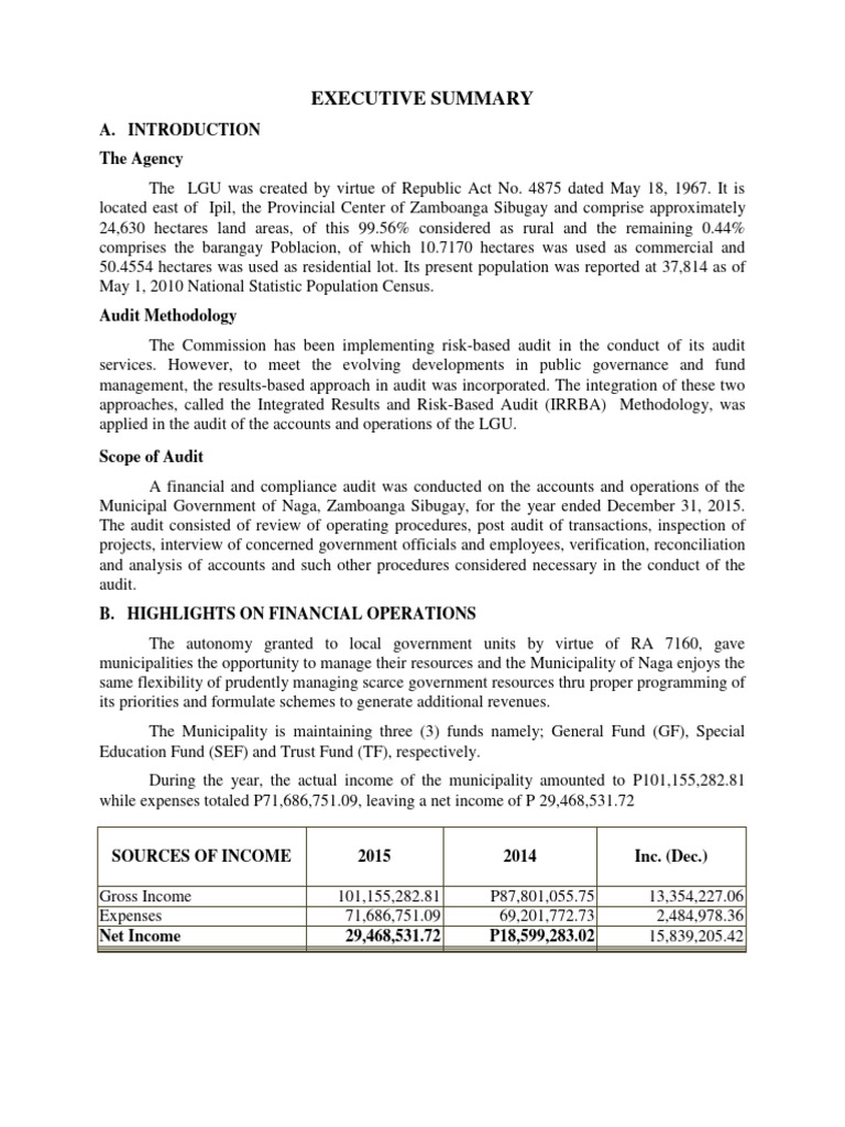 LGU Audit Report: Key Findings | PDF | Audit | Expense