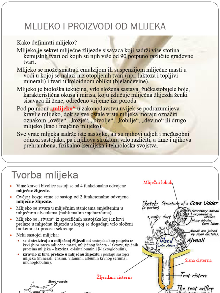 Mlijeko I Proizvodi Od Mlijeka | PDF