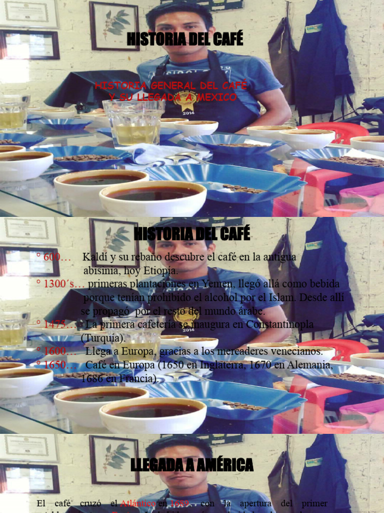 Historia Del Cafe Pdf Café Arboles