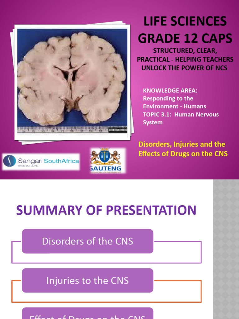 PP14. Disorders, Injuries and Effects of Drugs On The CNS | PDF | Central Nervous System ...