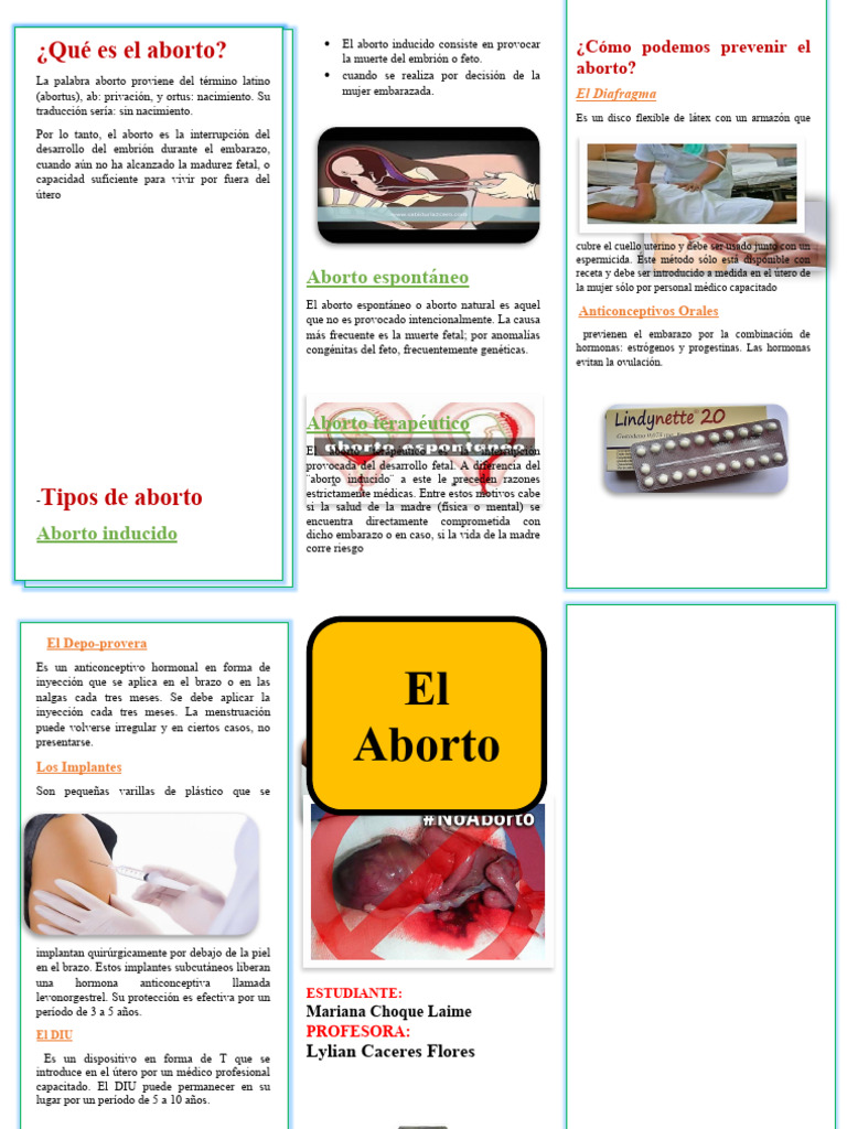 El Aborto | Descargar gratis PDF | Aborto | Control de la natalidad