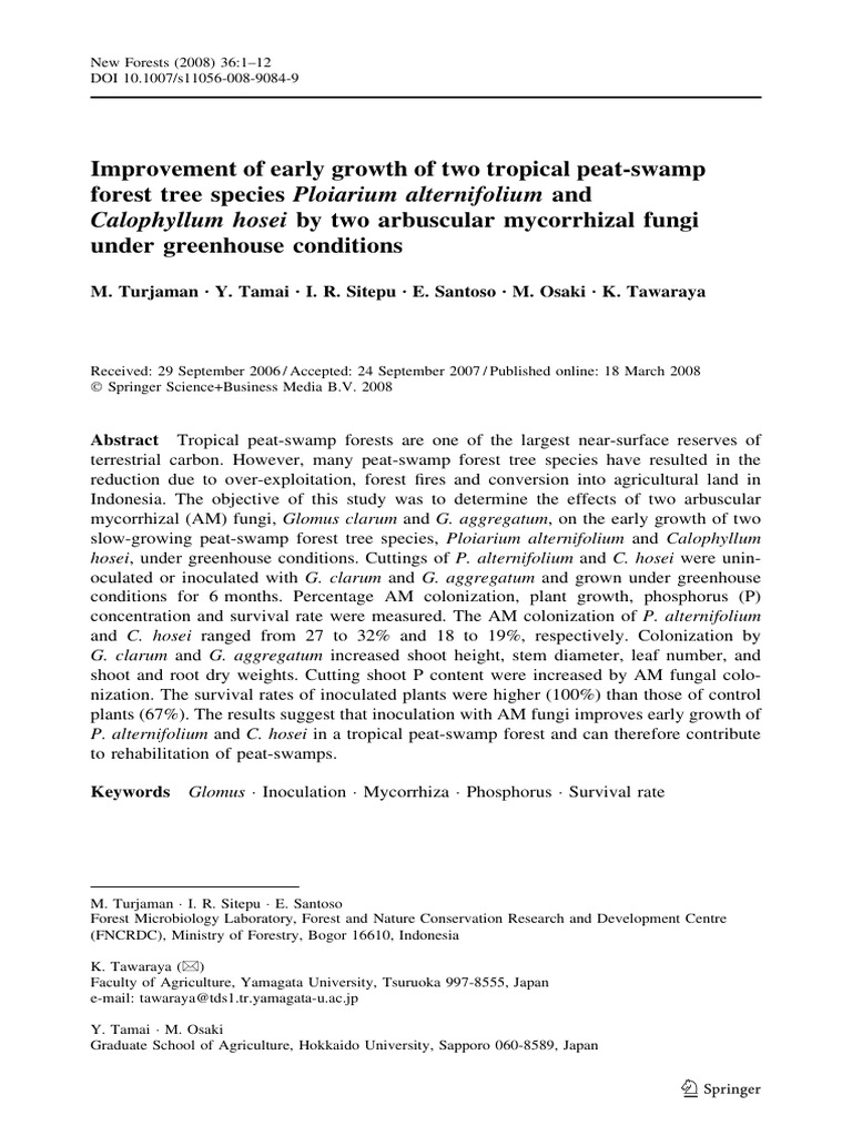Swamp Peat SPP | PDF | Plant Nursery | Fungus