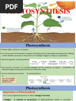 Photosynthesis Class 11 Biology NCERT | PDF | Photosynthesis | Chloroplast