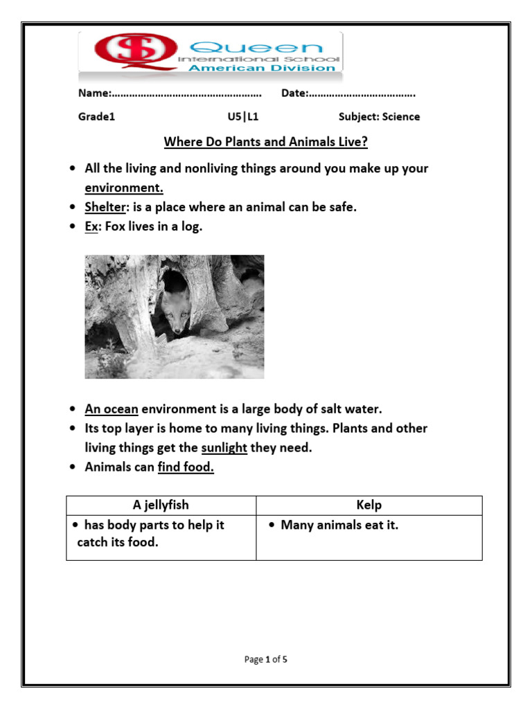 Science Unit 5 Lesson 1-2 | PDF | Rainforest | Desert