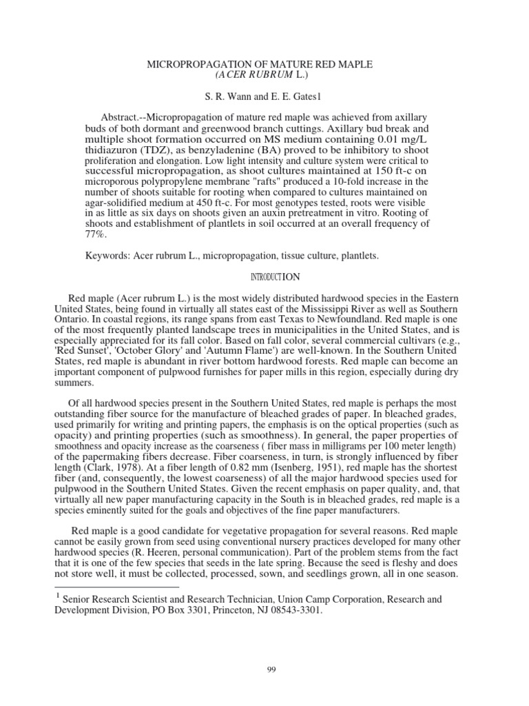 Micropropagation of mature red maple -Acer rubrum L. | PDF | Root | Maple