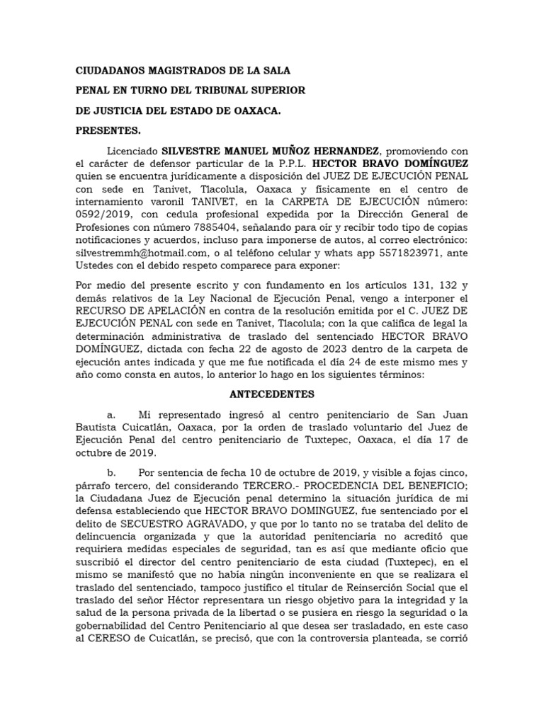 apelacion-ejecuci-n-de-sentencias-pdf-prisi-n-derecho-penal