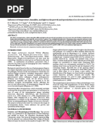 06.terrarium Observation Sheet | PDF | Root | Quantitative Research