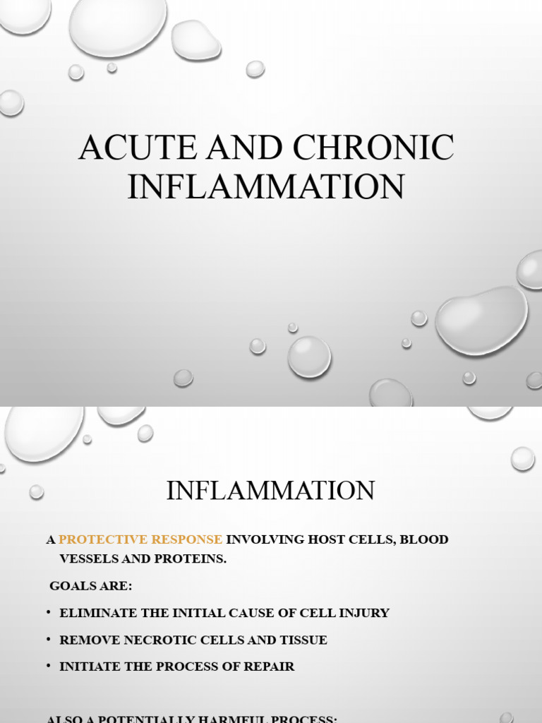 Acute and Chronic Inflammation | PDF | Inflammation | Complement System