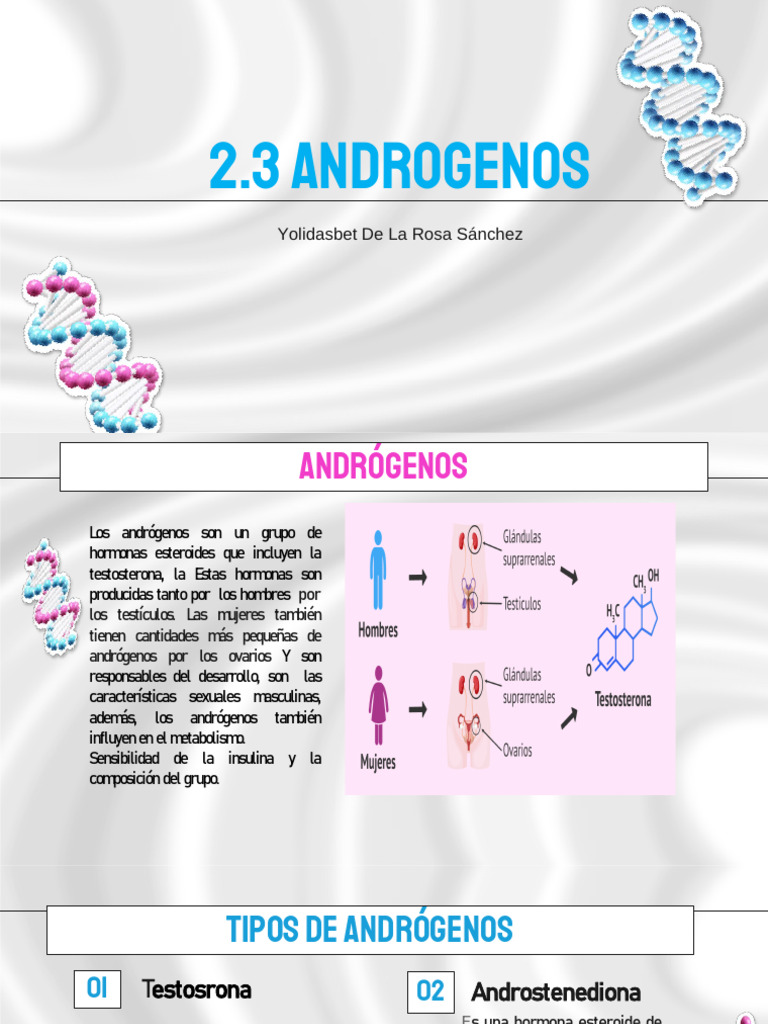 2.3 Androgenos | PDF | Andrógino | Testosterona