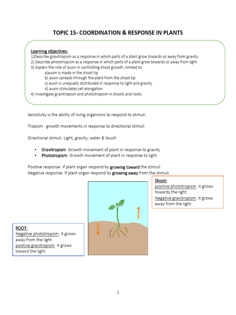 Topic 15 Coordination and Response in Plants | Download Free PDF | Auxin | Plants