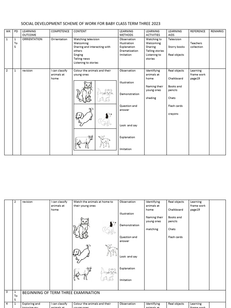 Social Development Baby | PDF | Imitation | Learning