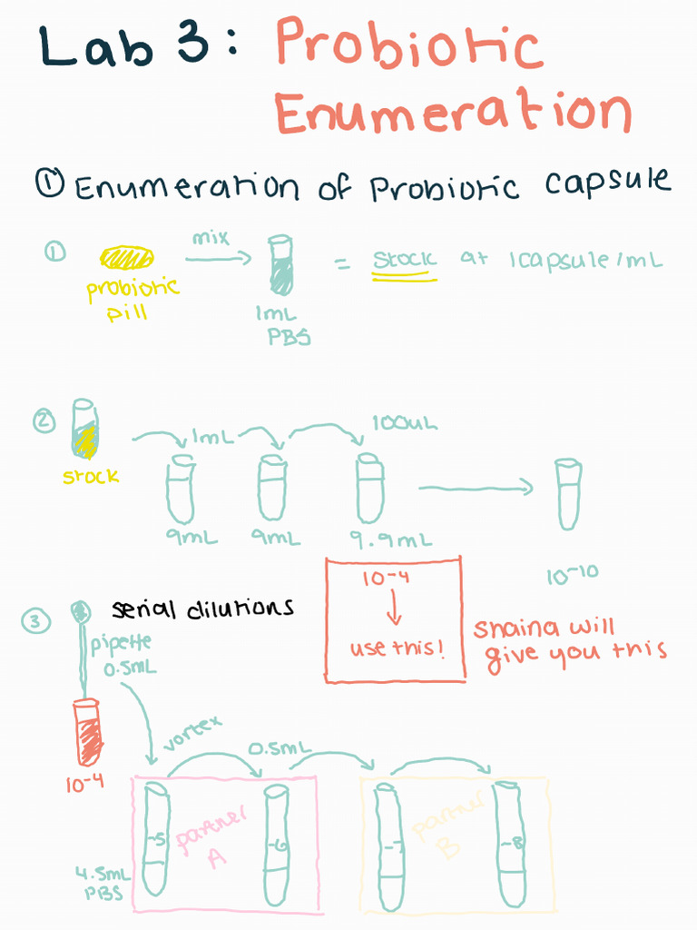 Lab 3 Flowchart | PDF