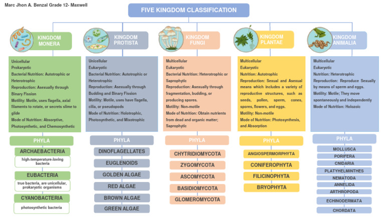 BENZAL_FIVE KINGDOM CLASSIFICATIONS | PDF | Sexual Reproduction | Bacteria