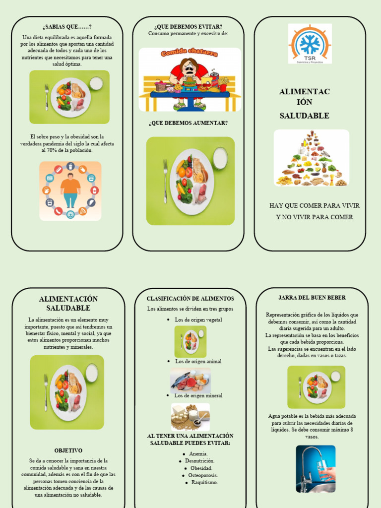 Triptico de La Alimentacion Saludable 2 | Descargar gratis PDF | Alimentos | Dieta saludable