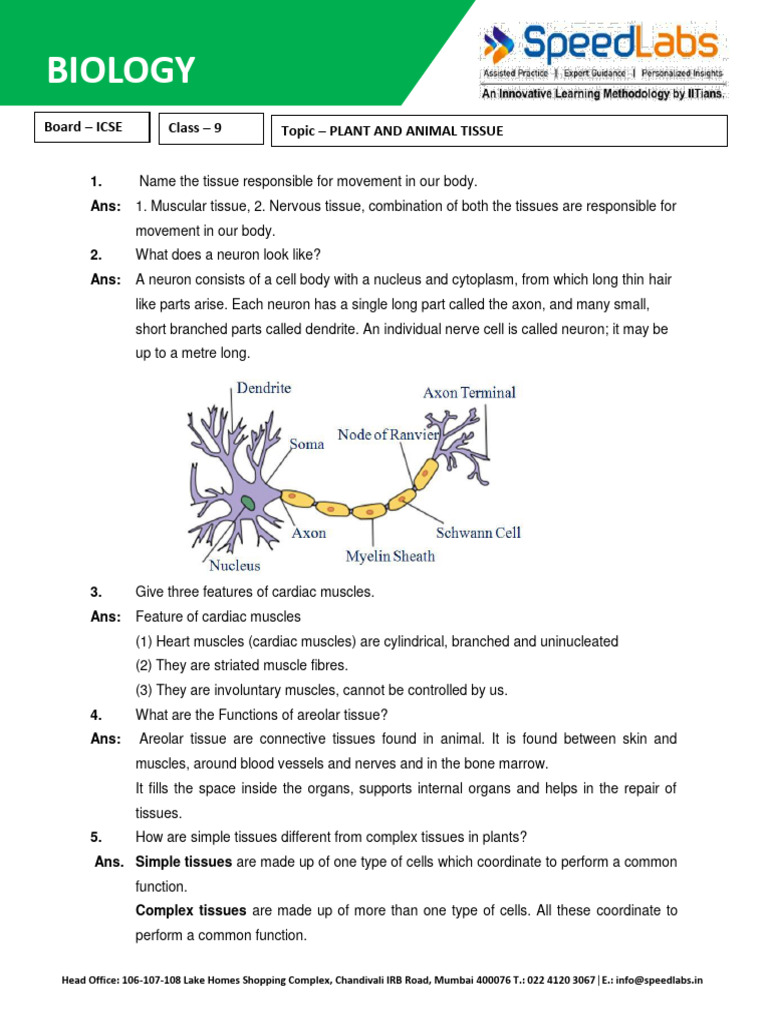Tissues Solved Examples Solved Example ICSE 0213445d 59d1 4ef6 9586 ...