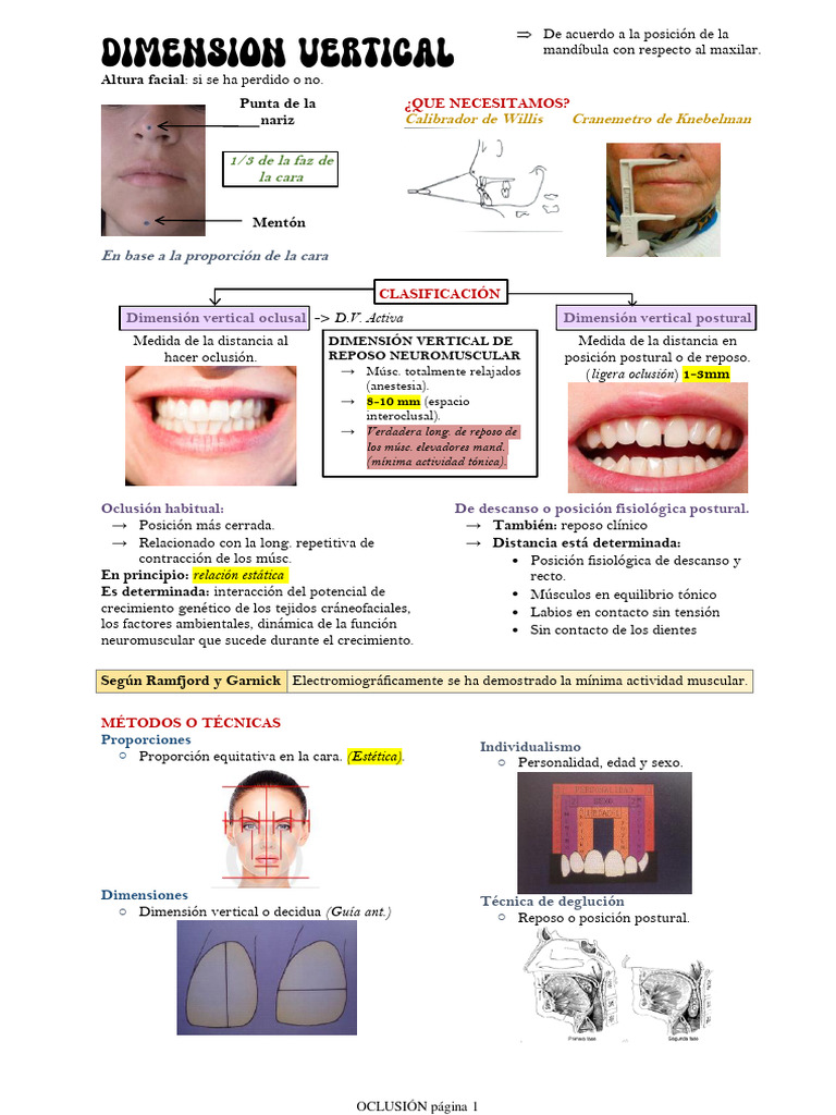 Dimensiones Verticales en Oclusión Facial | PDF | Ciencia y matemáticas