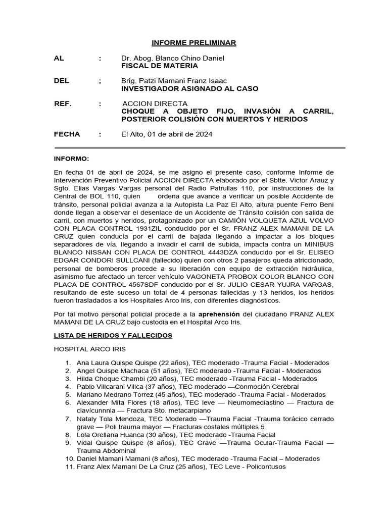 1 Informe Preliminar | PDF