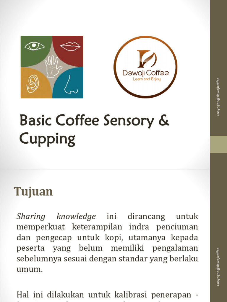 Basic Coffee Sensory & Cupping R2 | PDF