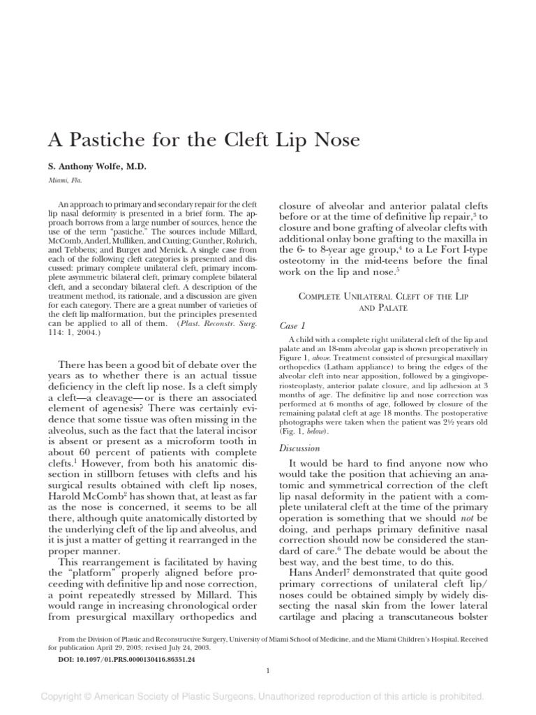 Wolfe 2004 | PDF | Human Nose | Face