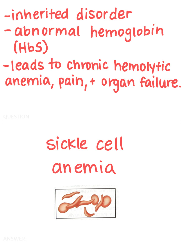 Blood Disorders | PDF | Self-Improvement