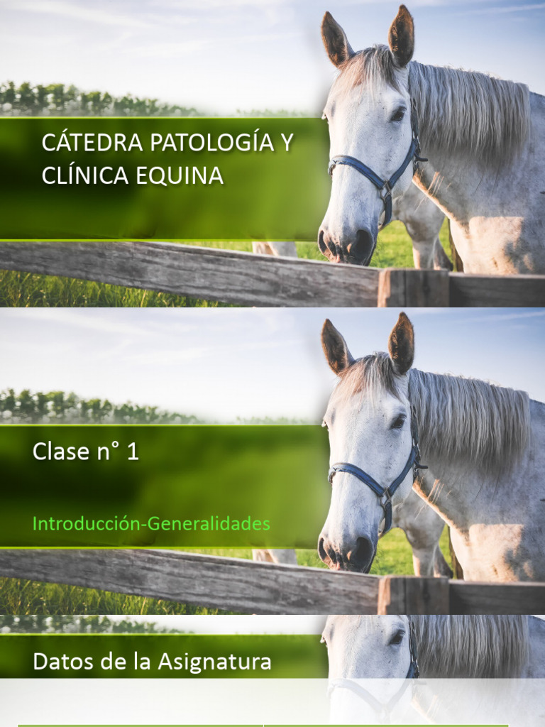 Patología y Clínica Equina | PDF | Patología | Clínica