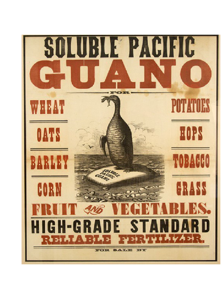 Afiche - Guano | PDF