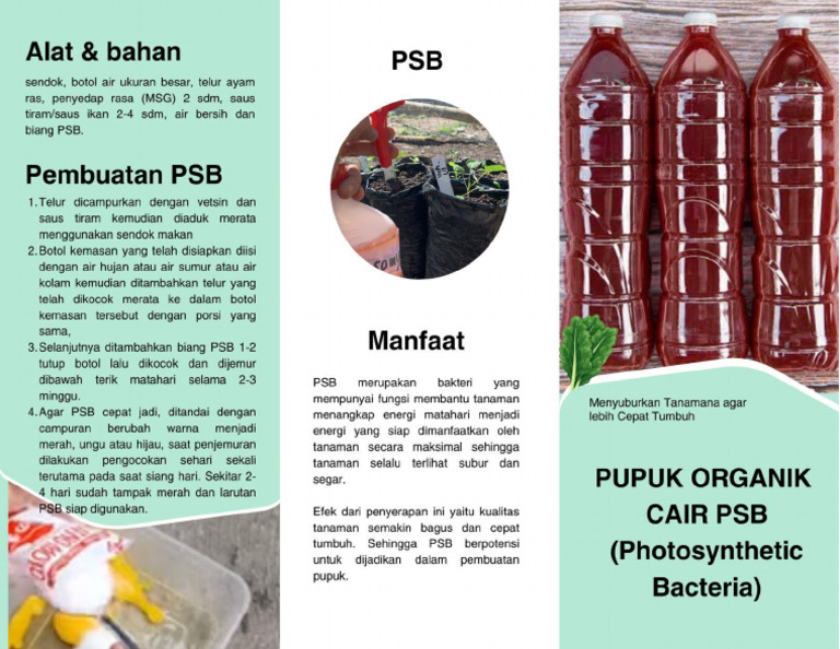 Leaflet PSB | PDF