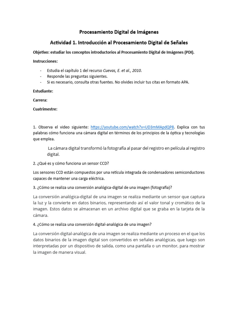 Actividad 1 PDDI | PDF | Visión por computador | Cámara digital