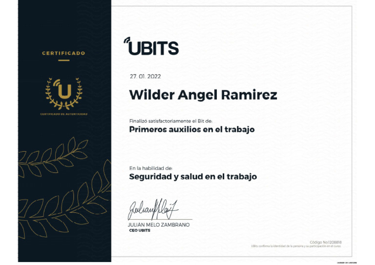 Ubits | PDF