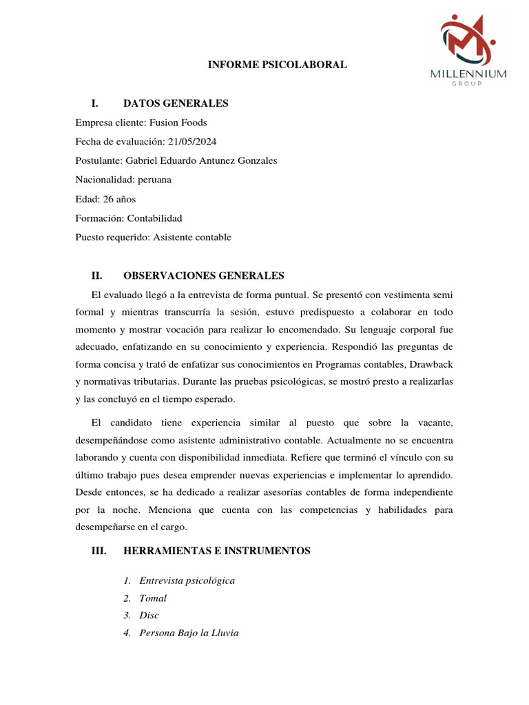 Informe Gabriel Antunez Millennium Group | Descargar gratis PDF ...